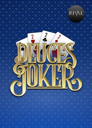 Play Online Video Poker Games at WildCasino.ag