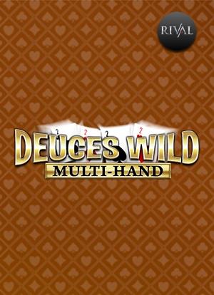 Play Online Video Poker Games at WildCasino.ag
