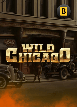 Play Online Casino Games at WildCasino.ag
